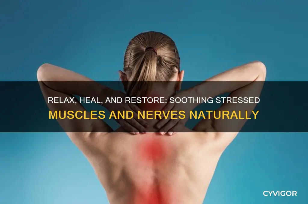 Relax, Heal, And Restore: Soothing Stressed Muscles And Nerves ...