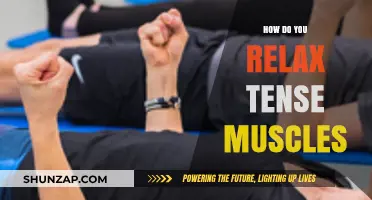 Muscle Energy Mechanics: Fueling Contraction And Relaxation Processes ...