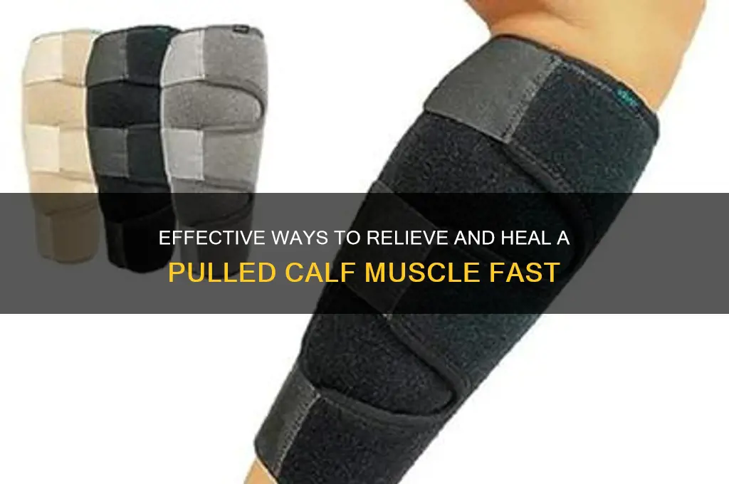 Effective Ways To Relieve And Heal A Pulled Calf Muscle Fast | CyVigor