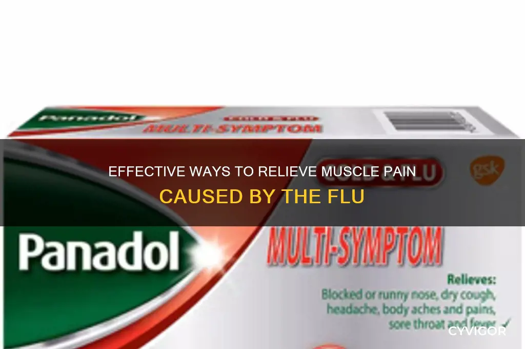 Effective Ways To Relieve Muscle Pain Caused By The Flu | CyVigor