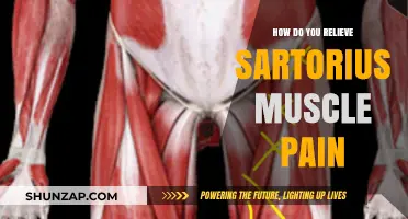 Dvt Or Muscle Pain: How To Tell The Difference And When To Seek Help ...