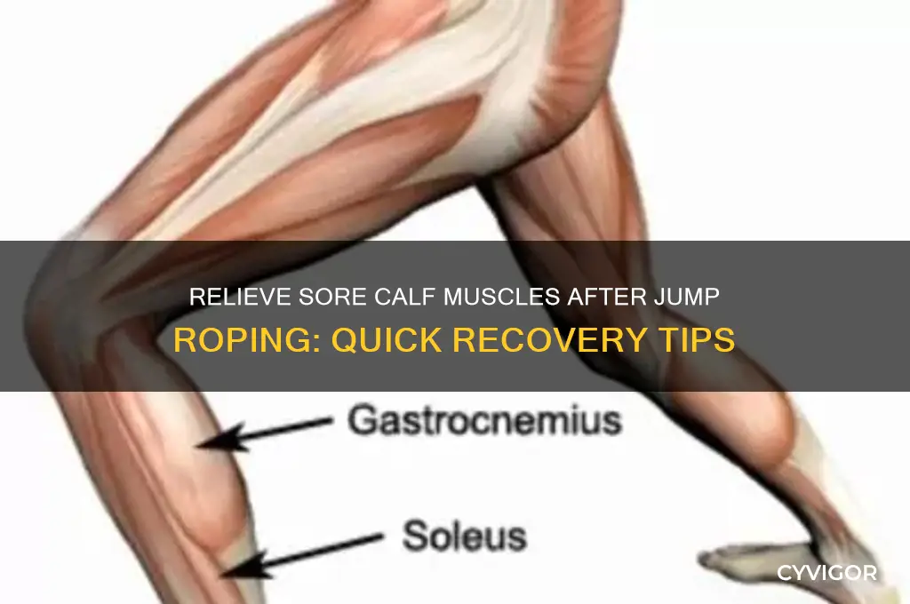 Relieve Sore Calf Muscles After Jump Roping: Quick Recovery Tips | CyVigor