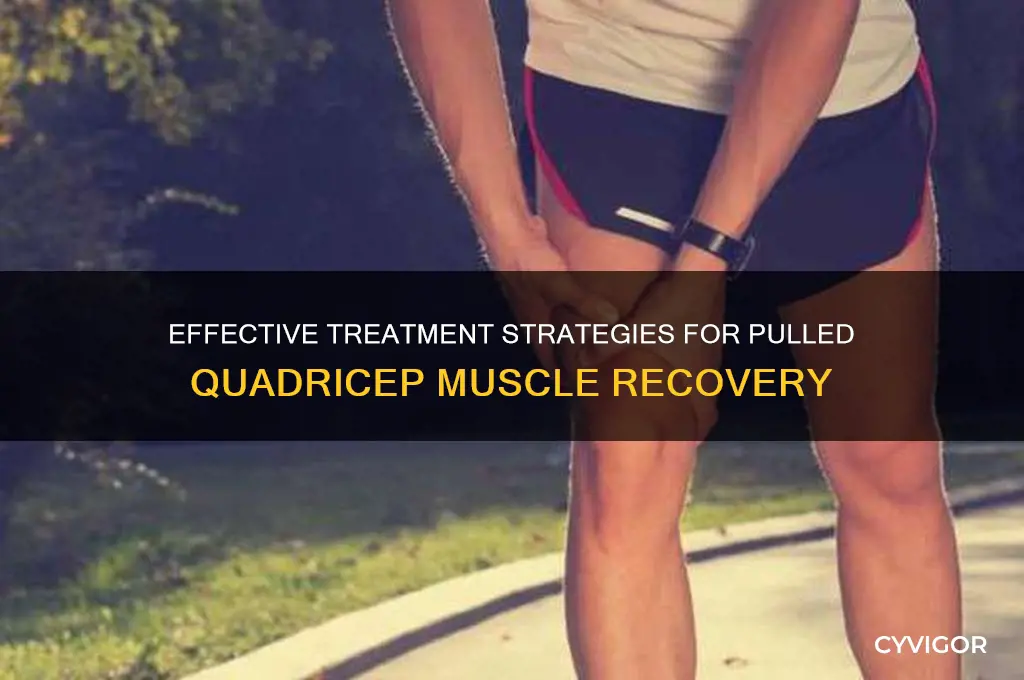 Effective Treatment Strategies For Pulled Quadricep Muscle Recovery ...