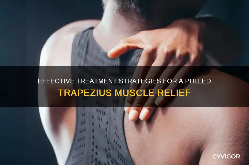 Effective Treatment Strategies For A Pulled Trapezius Muscle Relief ...