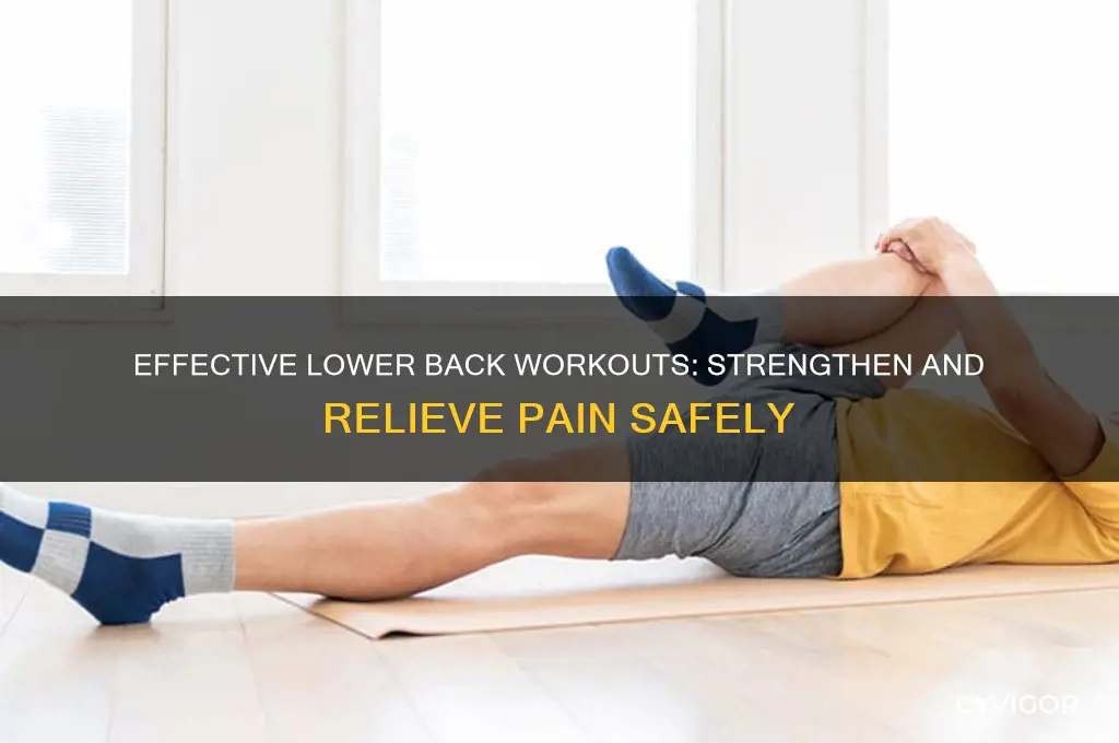 Effective Lower Back Workouts: Strengthen And Relieve Pain Safely | CyVigor