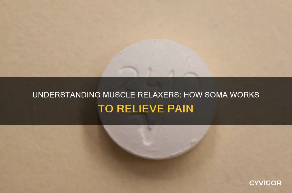 Understanding Muscle Relaxers: How Soma Works To Relieve Pain | CyVigor