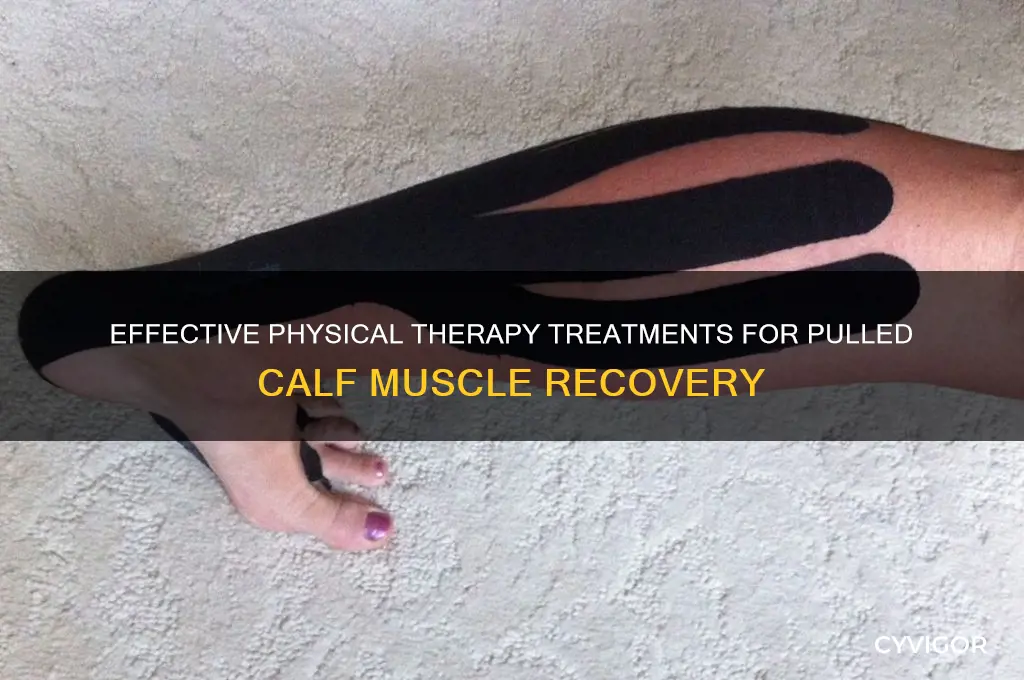 Effective Physical Therapy Treatments For Pulled Calf Muscle Recovery ...