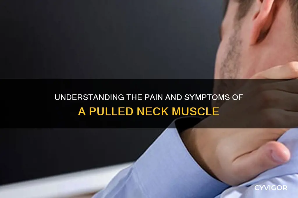 Understanding The Pain And Symptoms Of A Pulled Neck Muscle | CyVigor