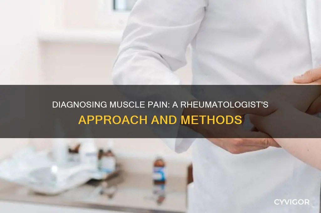 Diagnosing Muscle Pain: A Rheumatologist's Approach And Methods | CyVigor