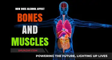 The Impact Of Aging On Muscle Health: A Comprehensive Guide | CyVigor