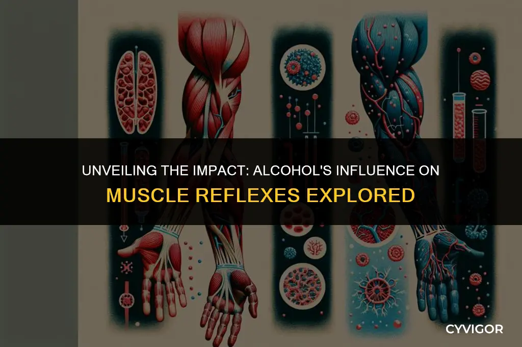 Unveiling The Impact: Alcohol's Influence On Muscle Reflexes Explored ...
