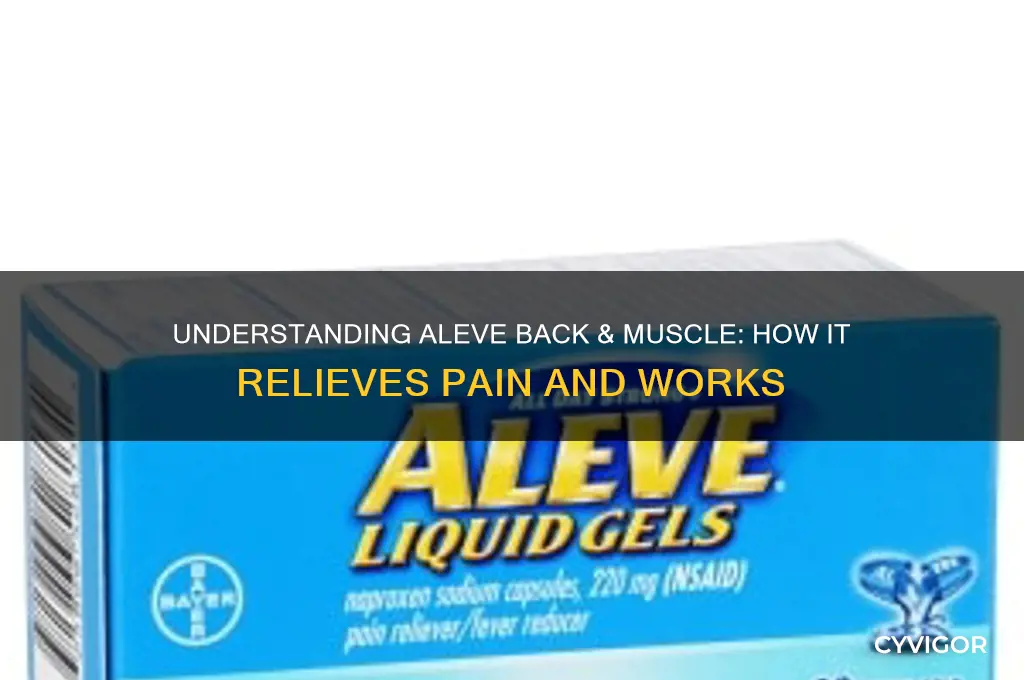 Understanding Aleve Back & Muscle: How It Relieves Pain And Works | CyVigor