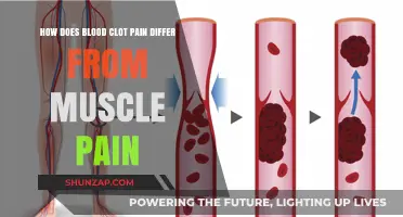 Muscle Pain Vs. Ligament Injury: Key Differences And Symptoms | CyVigor