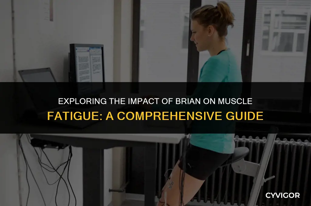 Exploring The Impact Of Brian On Muscle Fatigue: A Comprehensive Guide ...