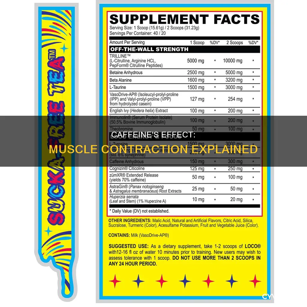 Caffeine's Effect: Muscle Contraction Explained | CyVigor