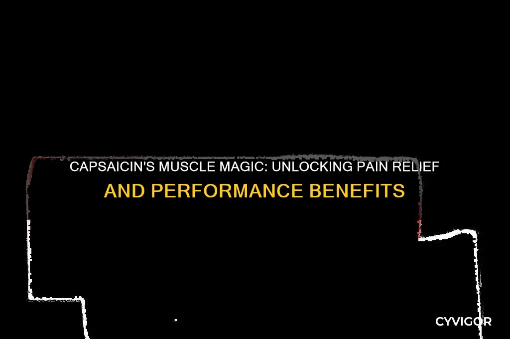 Capsaicin's Muscle Magic: Unlocking Pain Relief And Performance ...