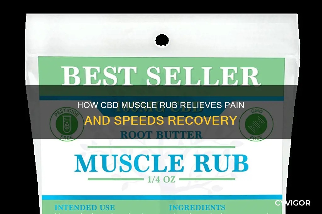 How Cbd Muscle Rub Relieves Pain And Speeds Recovery | CyVigor