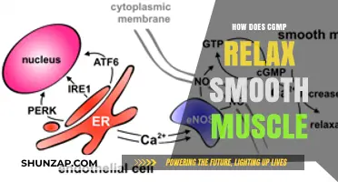 Understanding Methocarbamol: How This Muscle Relaxant Eases Tension And ...
