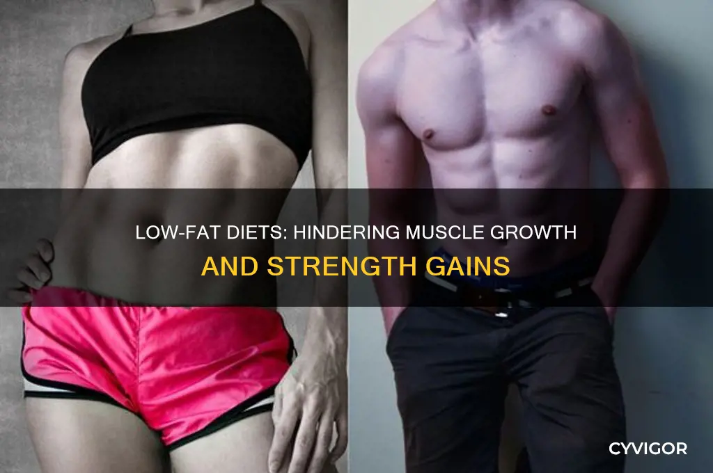 Low-Fat Diets: Hindering Muscle Growth And Strength Gains | CyVigor
