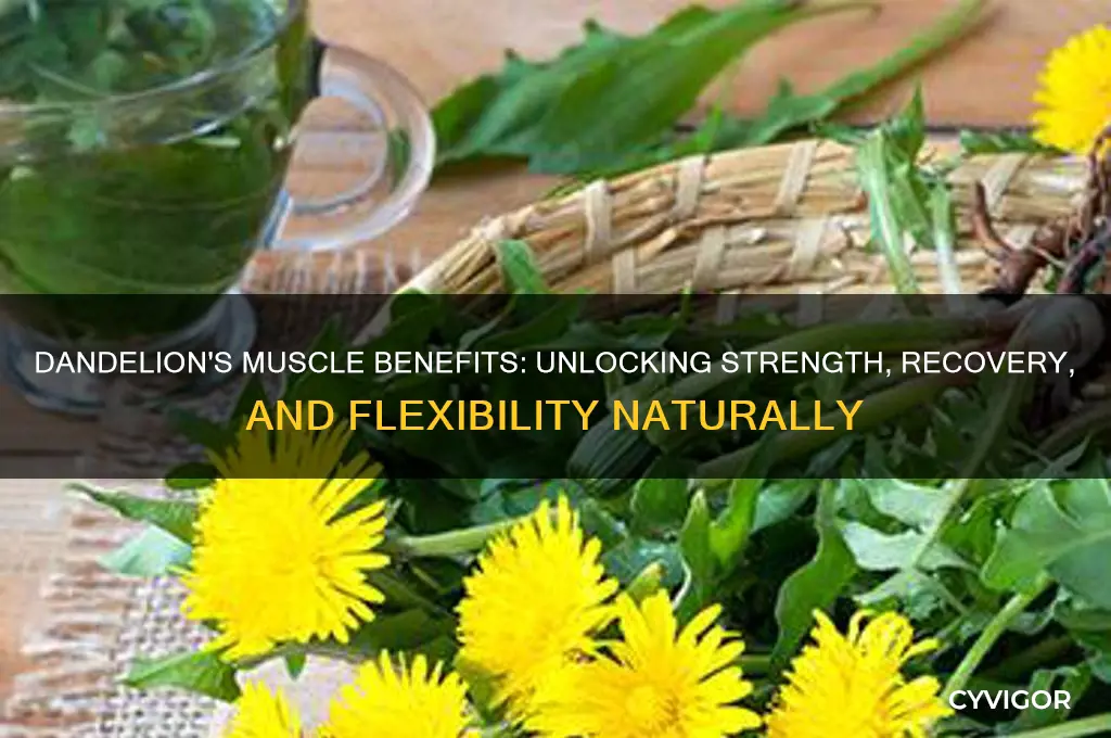 Dandelion's Muscle Benefits: Unlocking Strength, Recovery, And ...