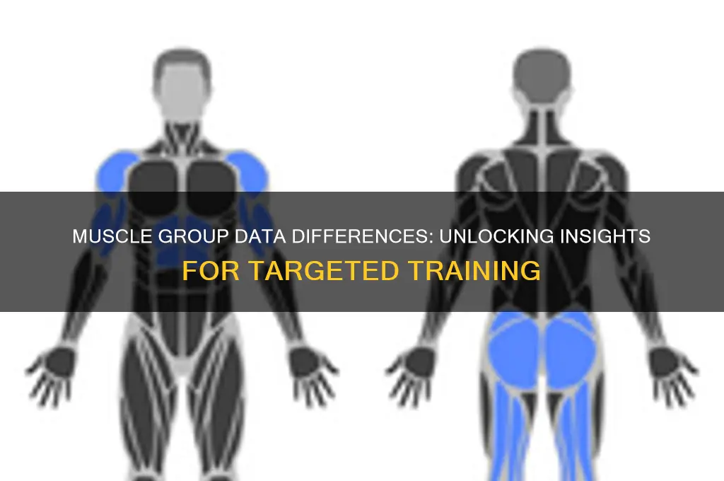 Muscle Group Data Differences: Unlocking Insights For Targeted Training ...