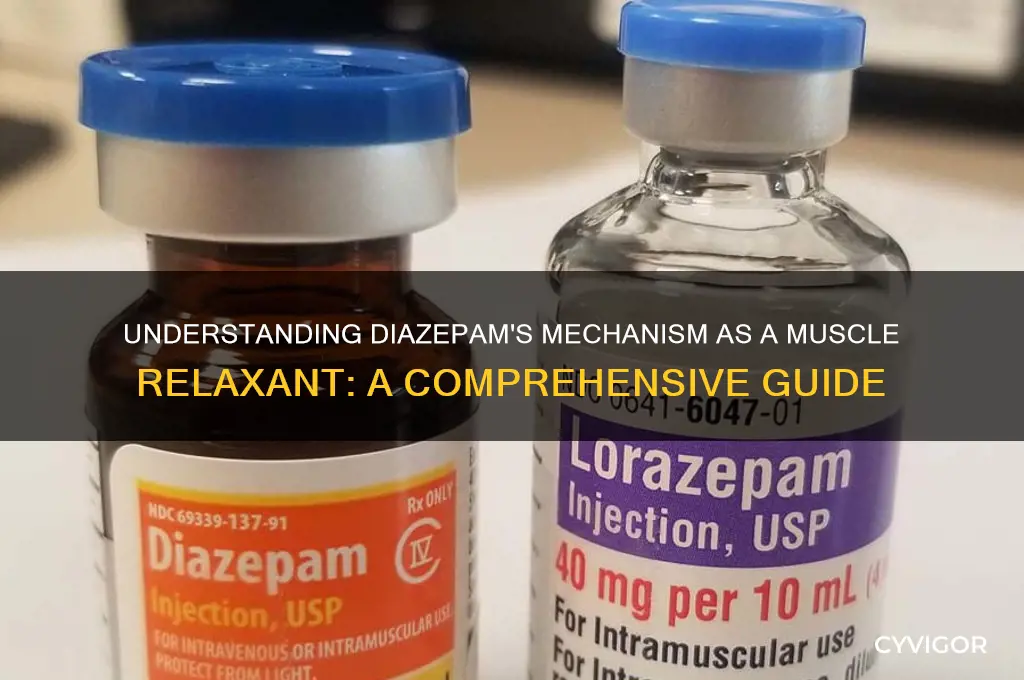 Understanding Diazepam's Mechanism As A Muscle Relaxant: A ...