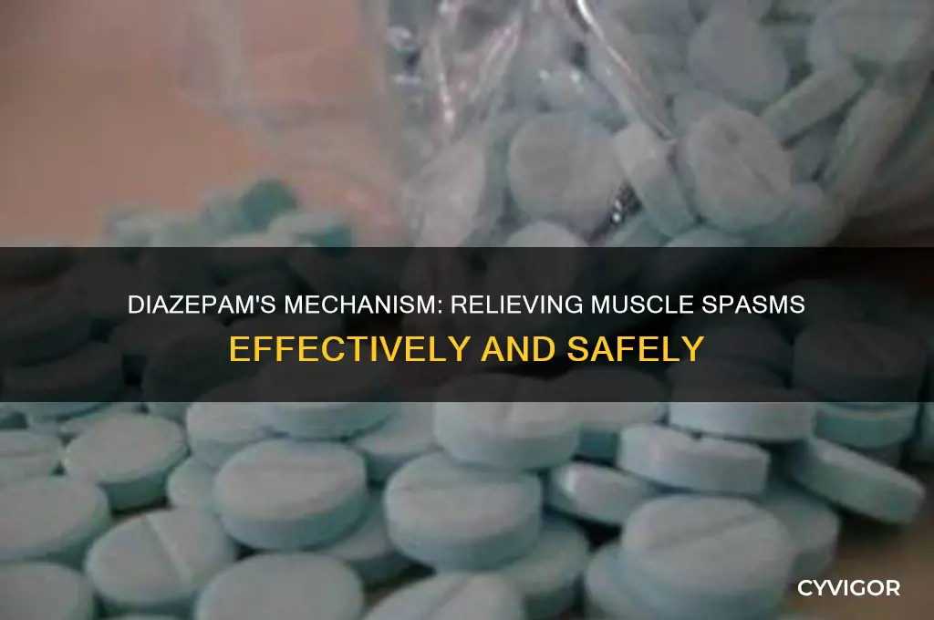 Diazepam's Mechanism: Relieving Muscle Spasms Effectively And Safely ...