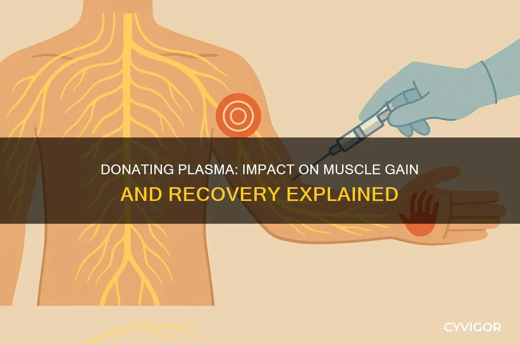 Donating Plasma: Impact On Muscle Gain And Recovery Explained | CyVigor