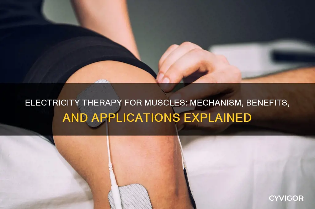 Electricity Therapy For Muscles: Mechanism, Benefits, And Applications ...