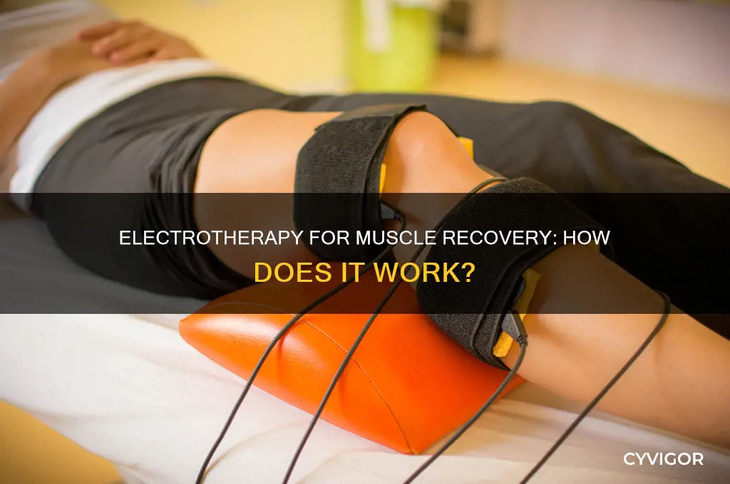 Electrotherapy For Muscle Recovery: How Does It Work? | CyVigor