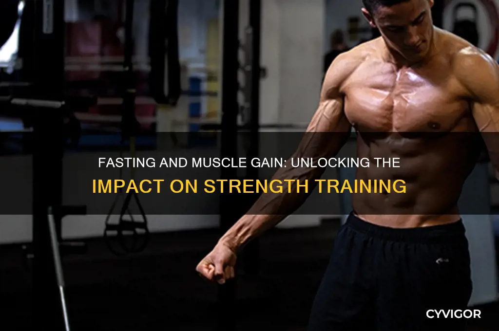 Fasting And Muscle Gain: Unlocking The Impact On Strength Training ...