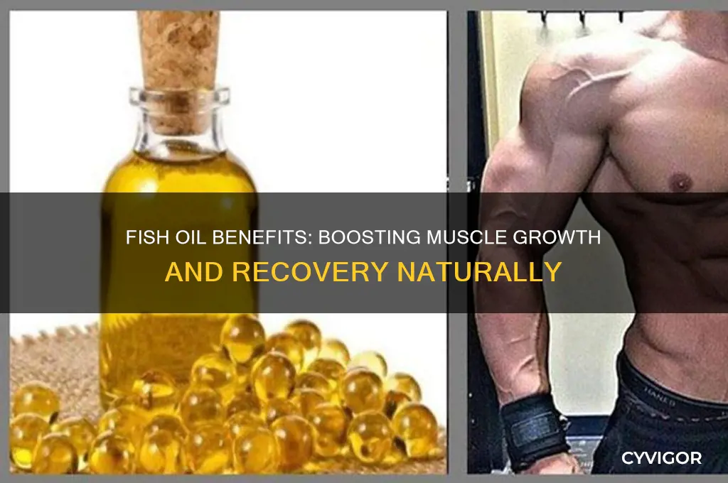 Fish Oil Benefits: Boosting Muscle Growth And Recovery Naturally | CyVigor