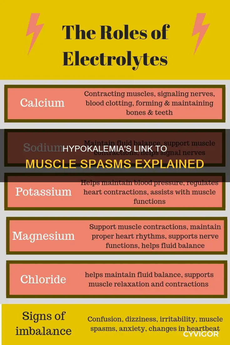 Hypokalemia's Link To Muscle Spasms Explained | CyVigor