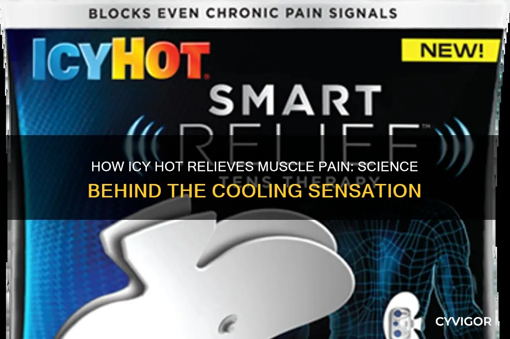How Icy Hot Relieves Muscle Pain: Science Behind The Cooling Sensation ...