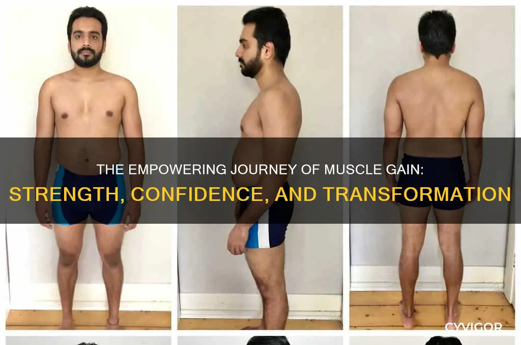 The Empowering Journey Of Muscle Gain: Strength, Confidence, And ...