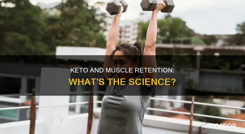 Keto And Muscle Retention: What's The Science? | CyVigor