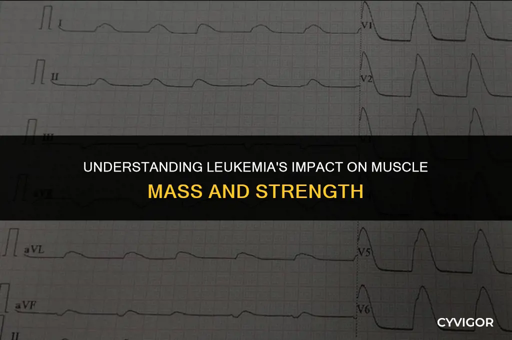 Understanding Leukemia's Impact On Muscle Mass And Strength | CyVigor