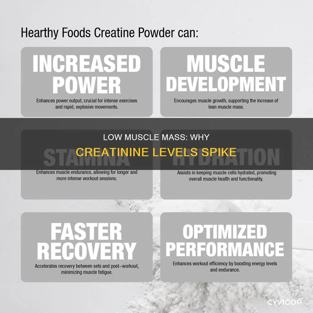 Low Muscle Mass: Why Creatinine Levels Spike | CyVigor