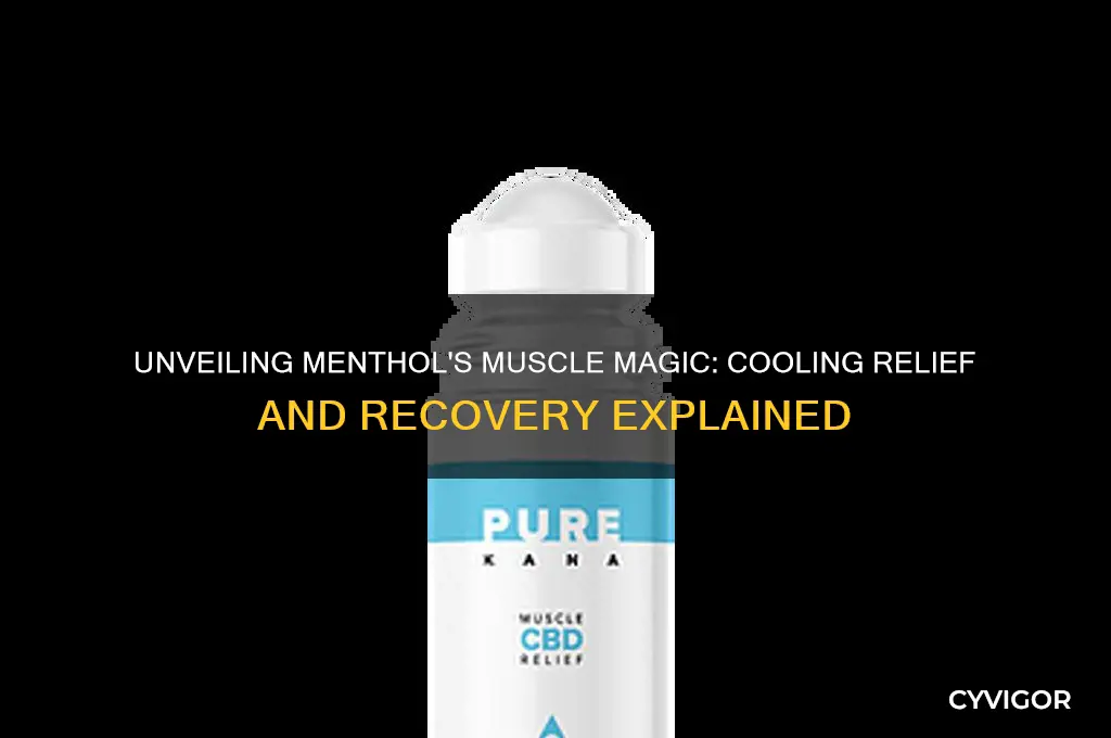 Unveiling Menthol's Muscle Magic: Cooling Relief And Recovery Explained ...