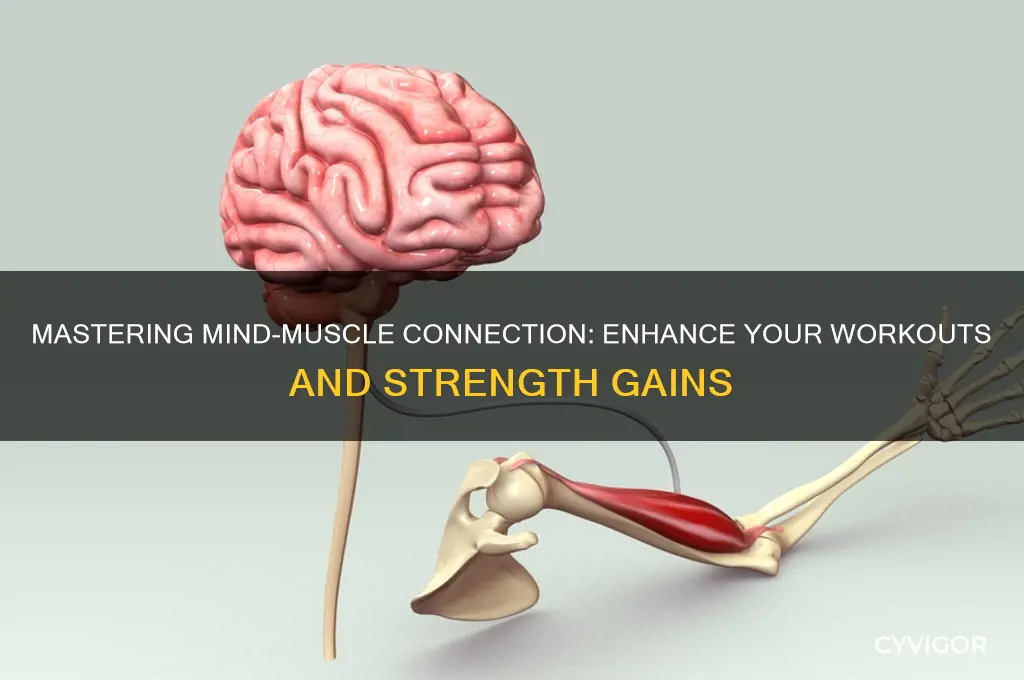 Mastering Mind-Muscle Connection: Enhance Your Workouts And Strength ...