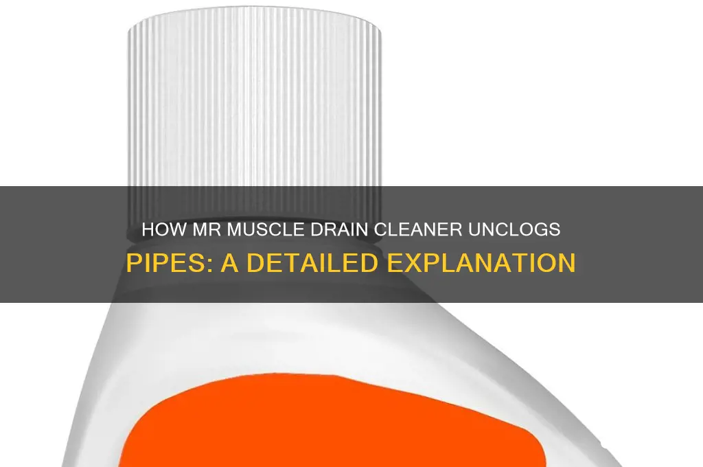 How Mr Muscle Drain Cleaner Unclogs Pipes: A Detailed Explanation | CyVigor