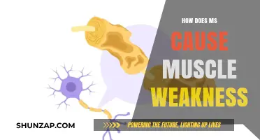 Immobility's Impact: Bone And Muscle Wasting | CyVigor