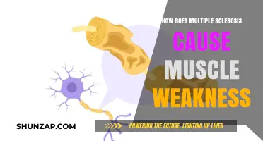 Injury Insights: Serratus Anterior Damage Causes | CyVigor