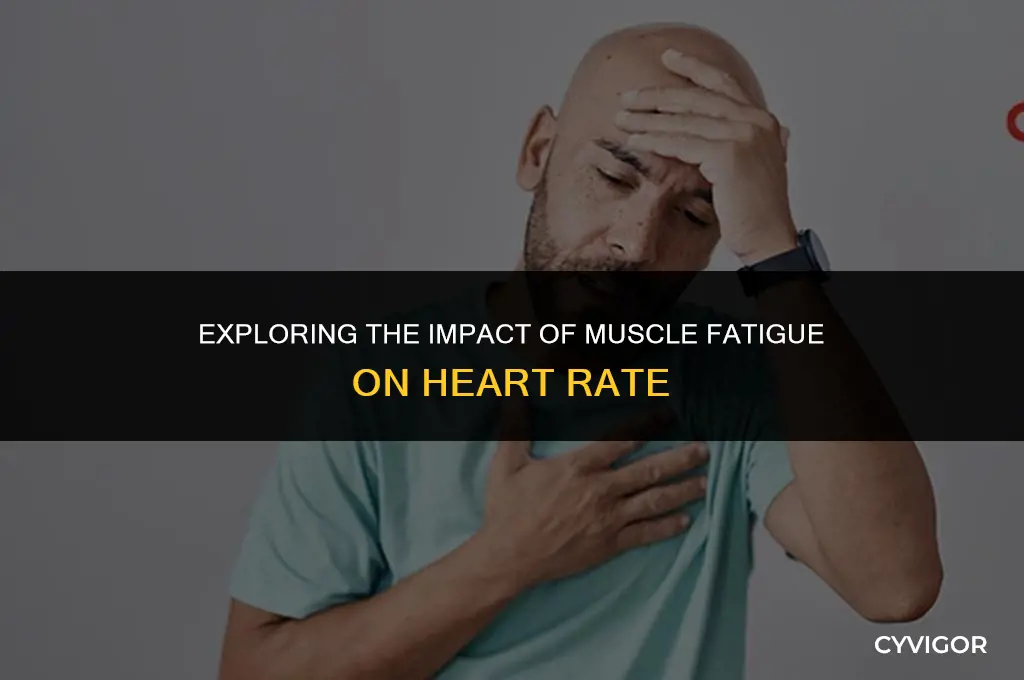 Exploring The Impact Of Muscle Fatigue On Heart Rate | CyVigor