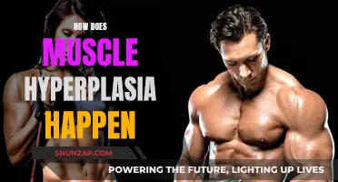 Muscle To Bone: The Transformation Process Explained | CyVigor