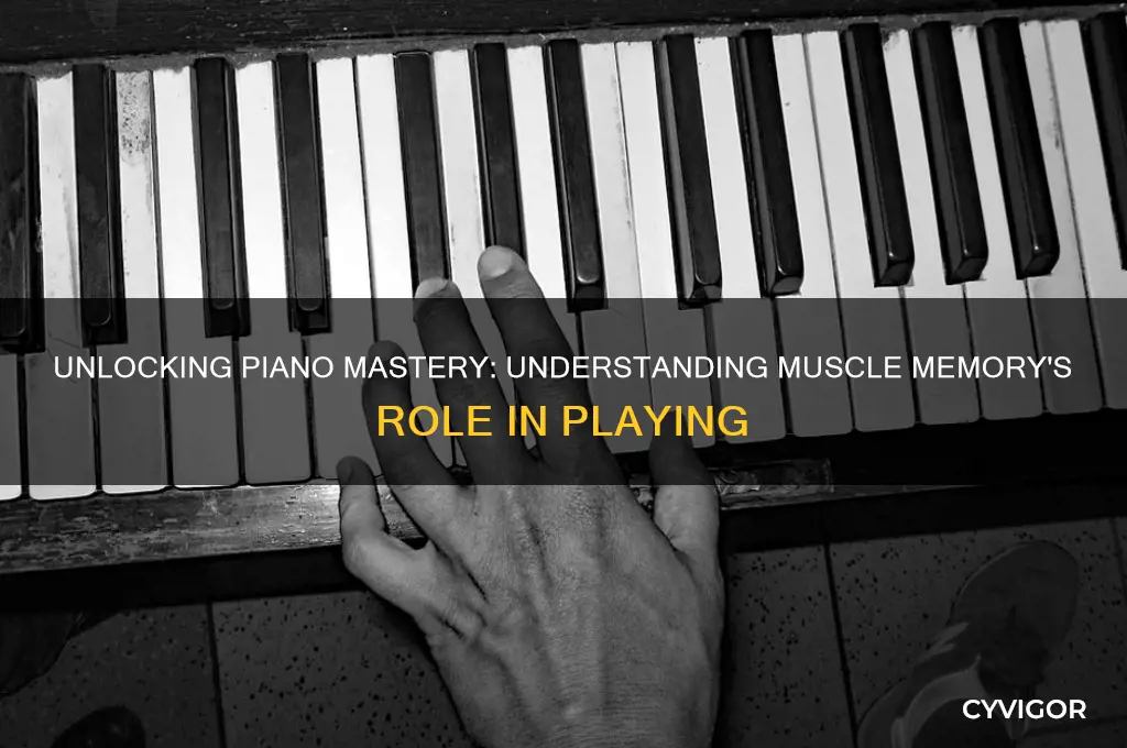 Unlocking Piano Mastery: Understanding Muscle Memory's Role In Playing ...