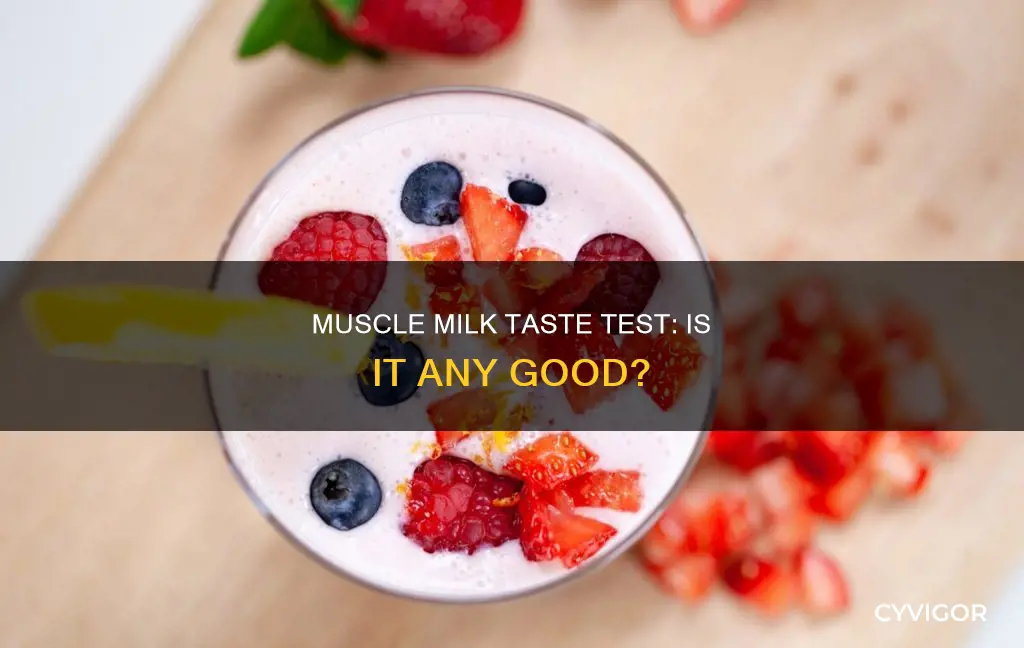 Muscle Milk Taste Test: Is It Any Good? | CyVigor