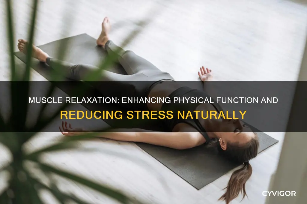 Muscle Relaxation: Enhancing Physical Function And Reducing Stress ...