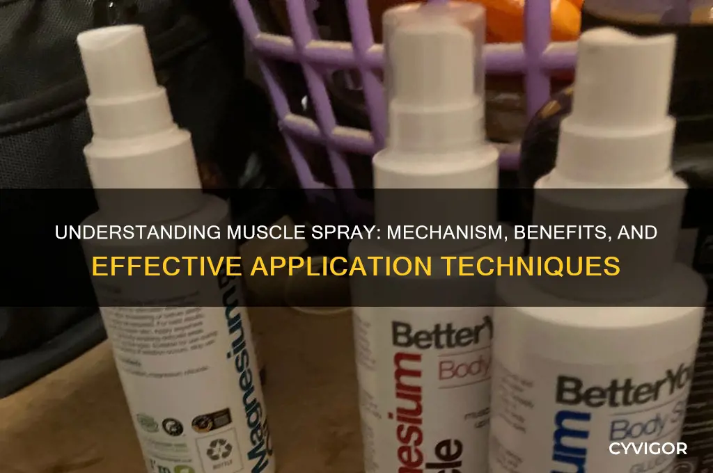 Understanding Muscle Spray: Mechanism, Benefits, And Effective ...