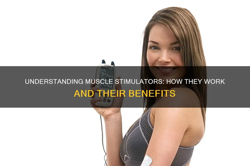 Understanding Muscle Stimulators: How They Work And Their Benefits ...